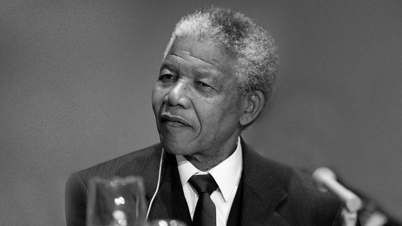 Nelson Mandela: The Icon of South African Freedom and Equality | Novo ...