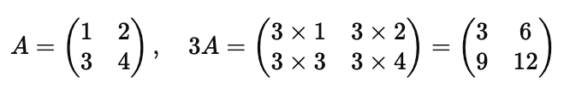 Understanding Matrices: A Powerful Tool in Mathematics and Beyond ...