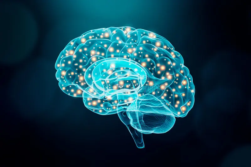 The Psychology of Learning: How the Brain Remembers | Novo Learner