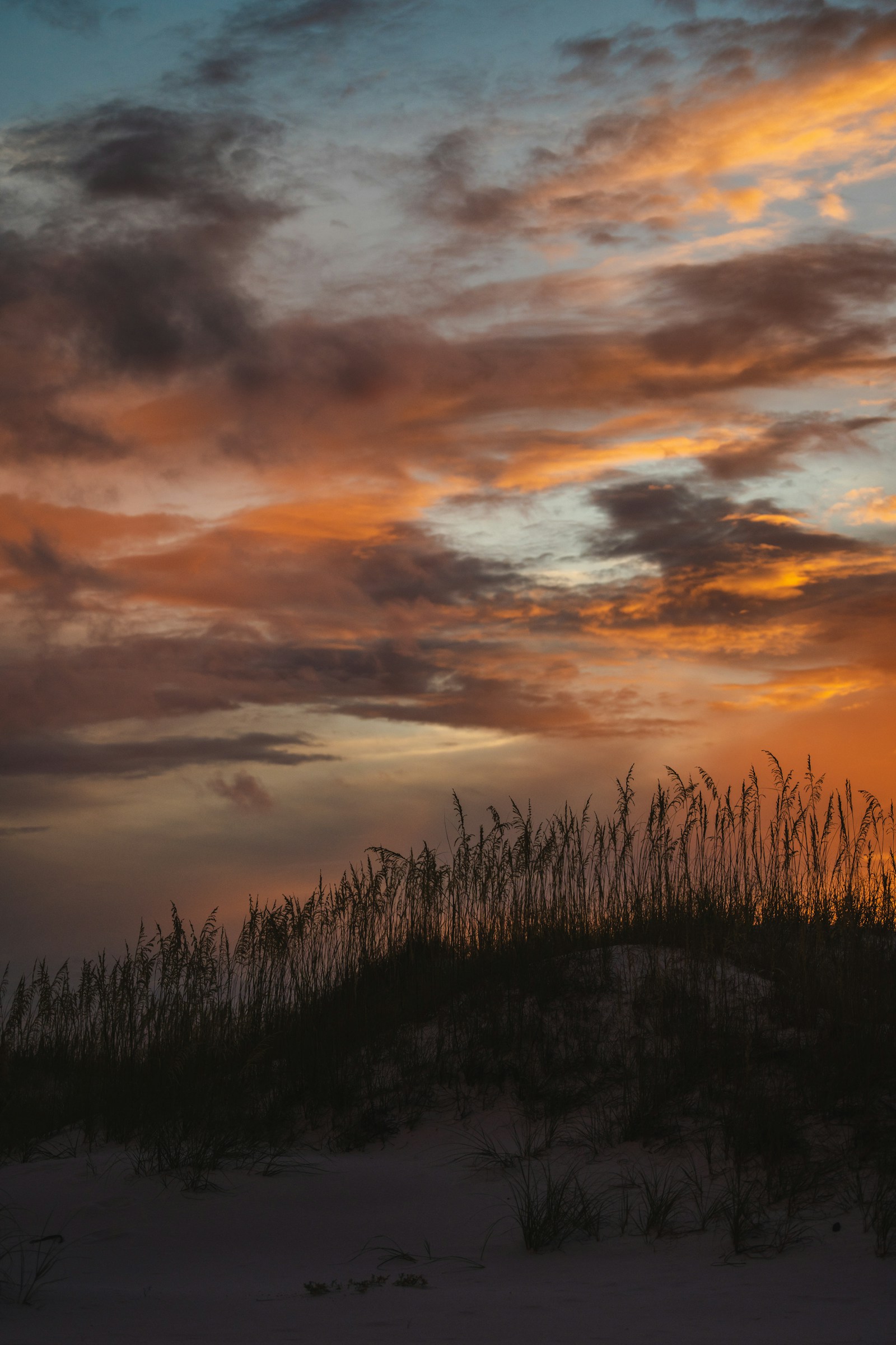 Why the Summer Solstice Is the Longest Day of the Year